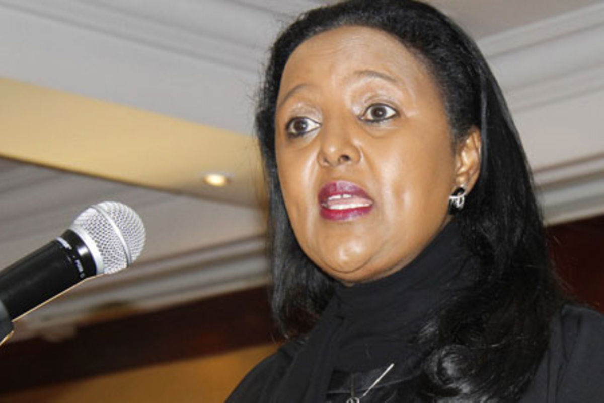 MPs set a new travel spending record at Sh3bn - Business Daily