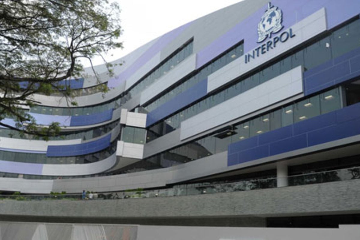 Interpol team to help fight wildlife crime in Kenya - Business Daily