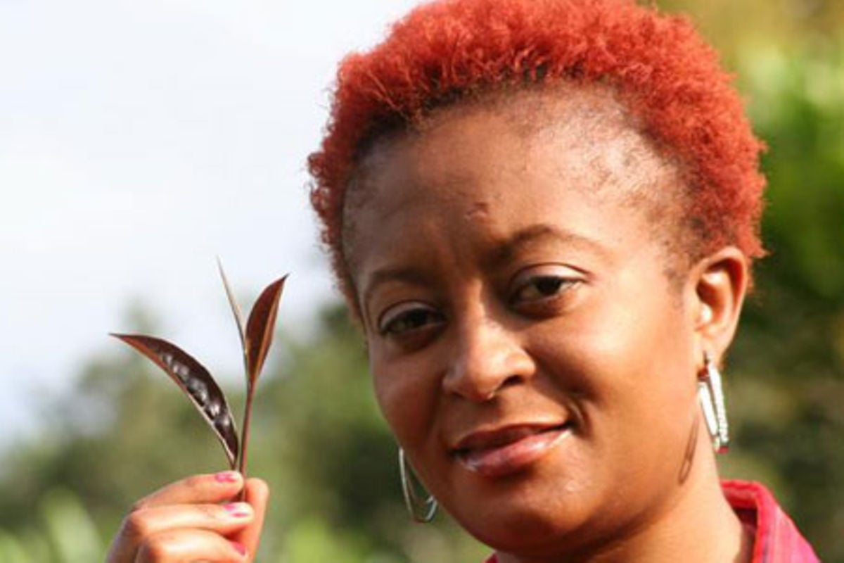 Meru farmer makes a fortune out of purple tea exports - Business Daily