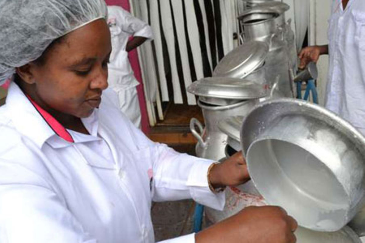 New KCC upgrades long-life milk plants to cash in on market glut ...