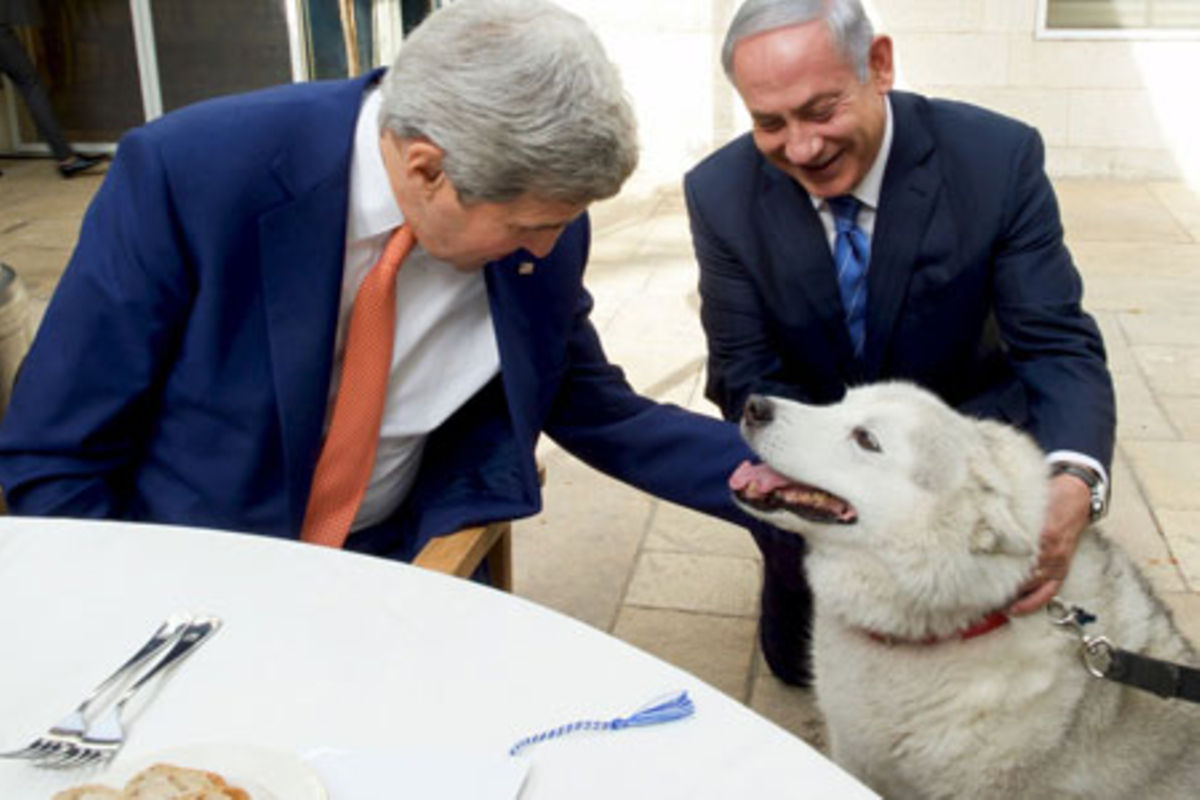 Netanyahu's dog bites political visitors - Business Daily