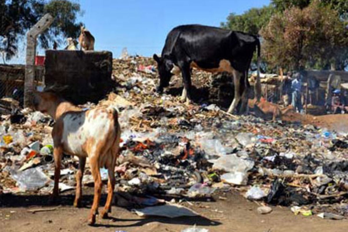 Nakuru grapples with mounting garbage crisis in key towns - Business Daily