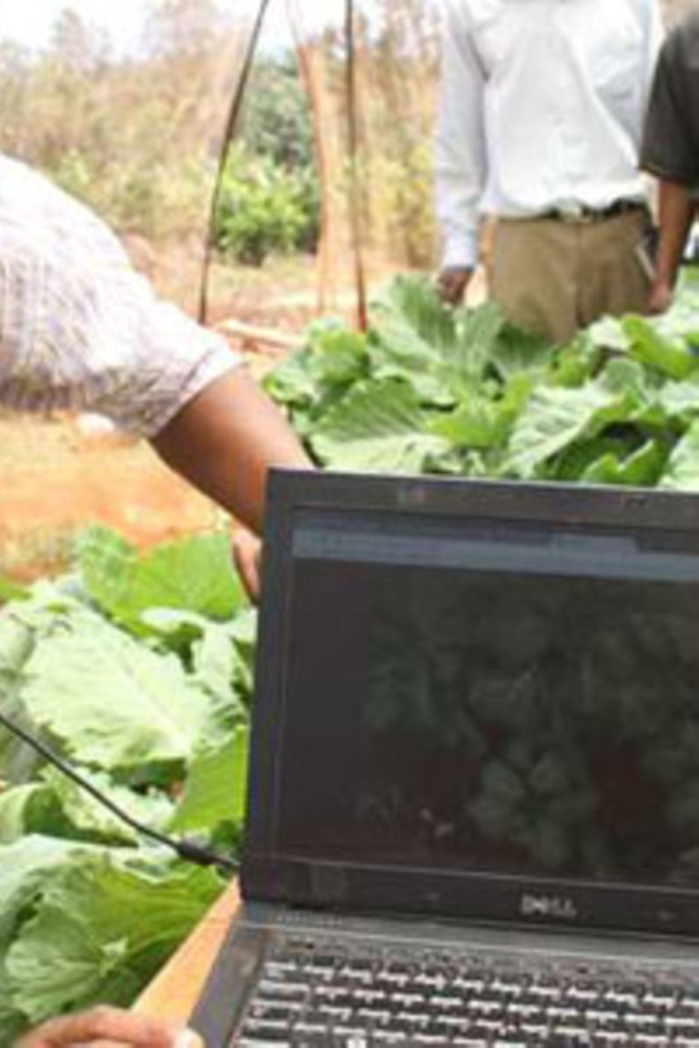 University students develop farm pest and disease detection system ...