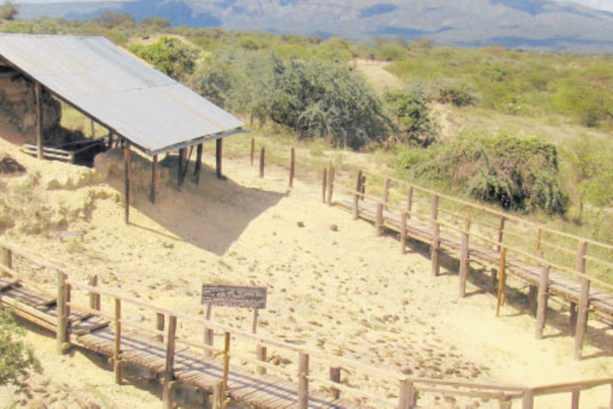 Olorgesailie pre-historic site: The neglected world cultural attraction ...