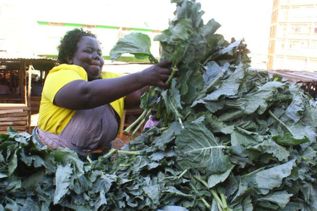 Sukuma wiki prices rise most among basic home items - Business Daily