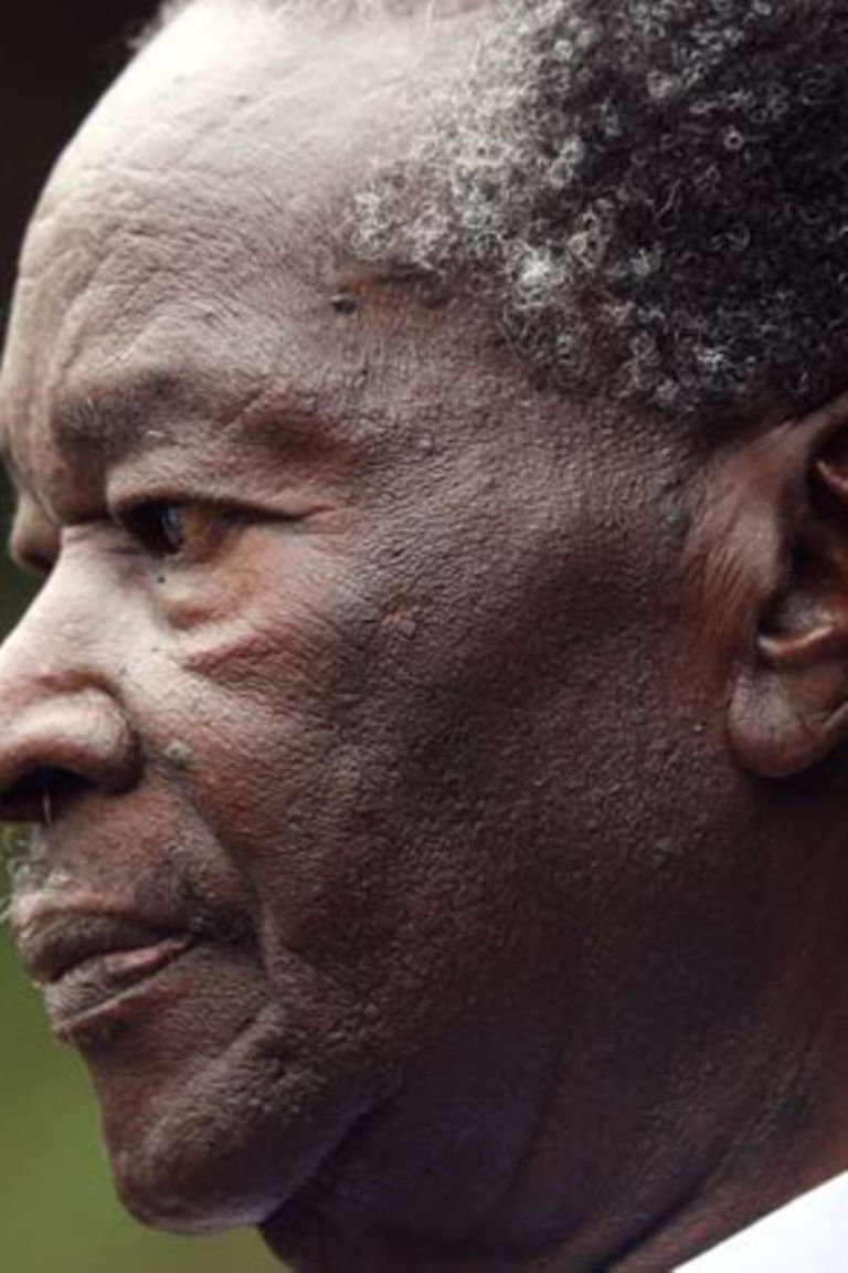 Man claims Sh382m from Nicholas Biwott family - Business Daily