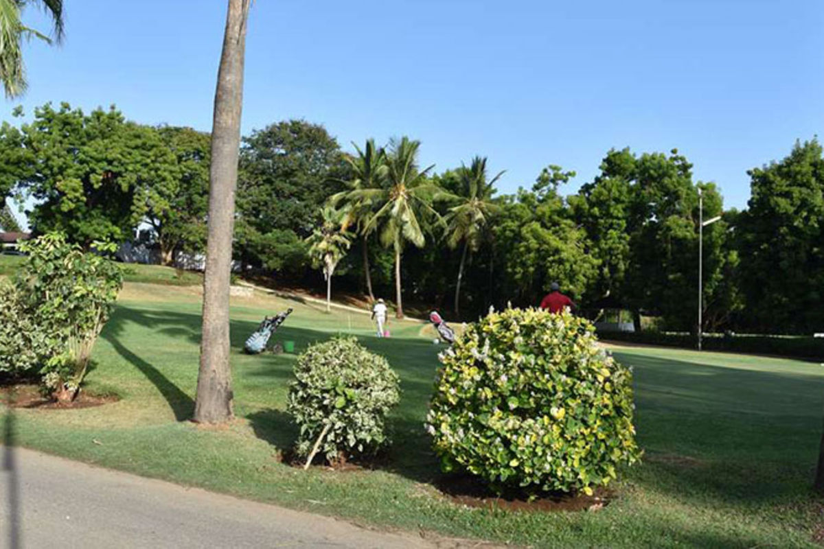 If you fancy the Nyali Golf Club fairways - Business Daily