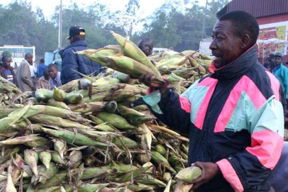 Why Kenya should not be food insecure - Business Daily