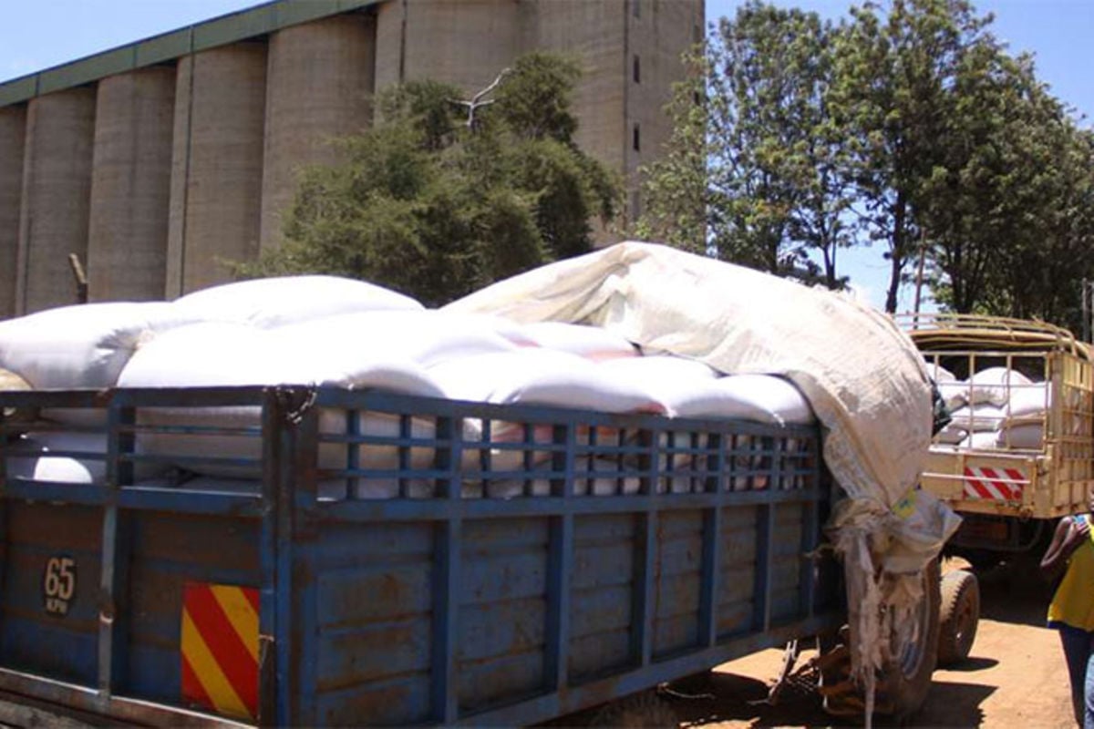 Only one month maize cover left as State yet to pay millers Sh4bn ...