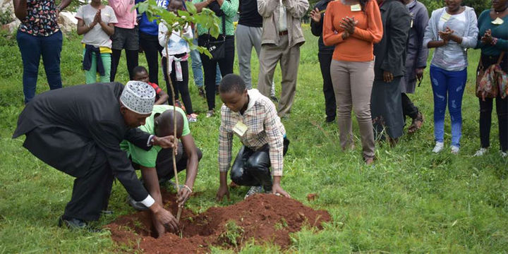 Don’t plant but nurture trees | Daily Nation