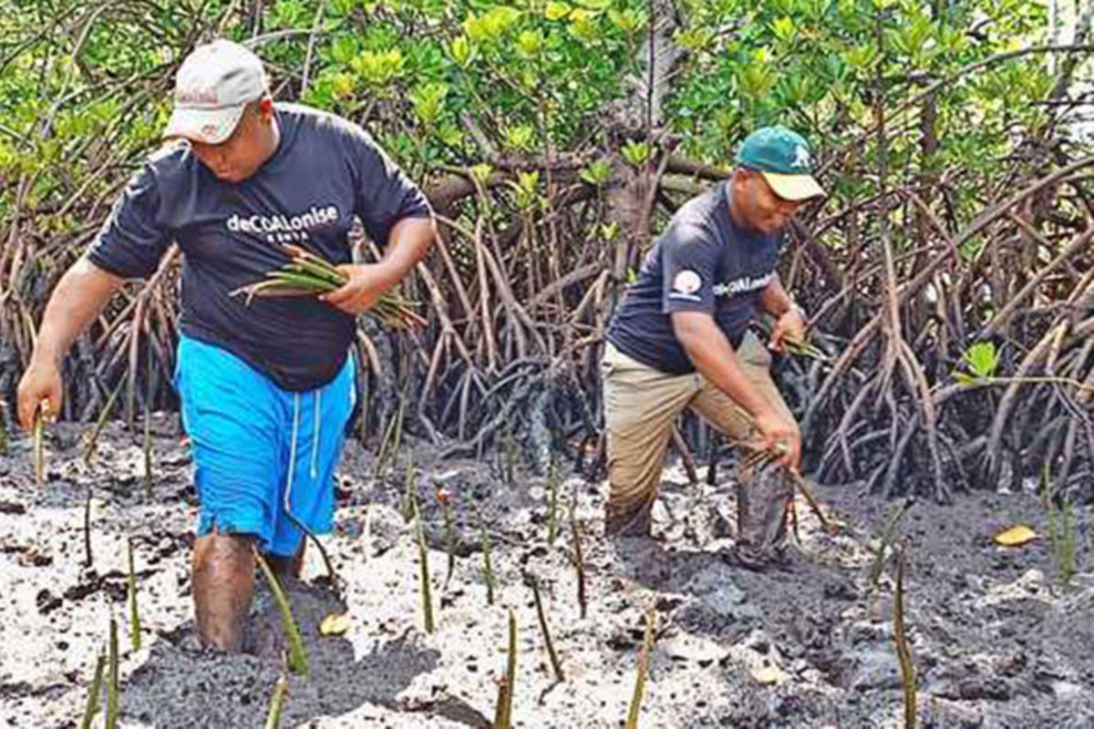 From Lamu, a spatial plan lesson for counties - Business Daily