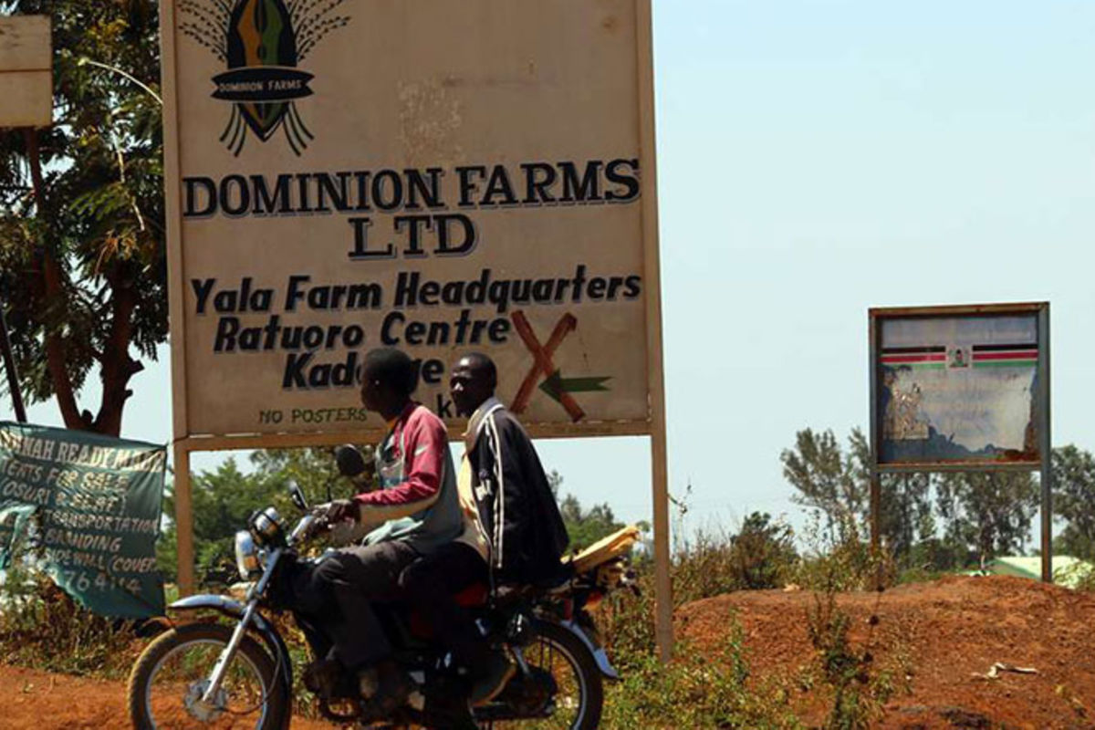 Dominion Farms names liquidator - Business Daily