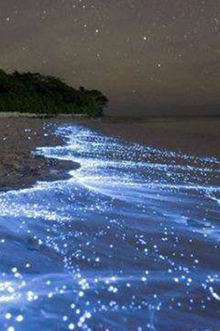 A Glowing Ocean - Business Daily