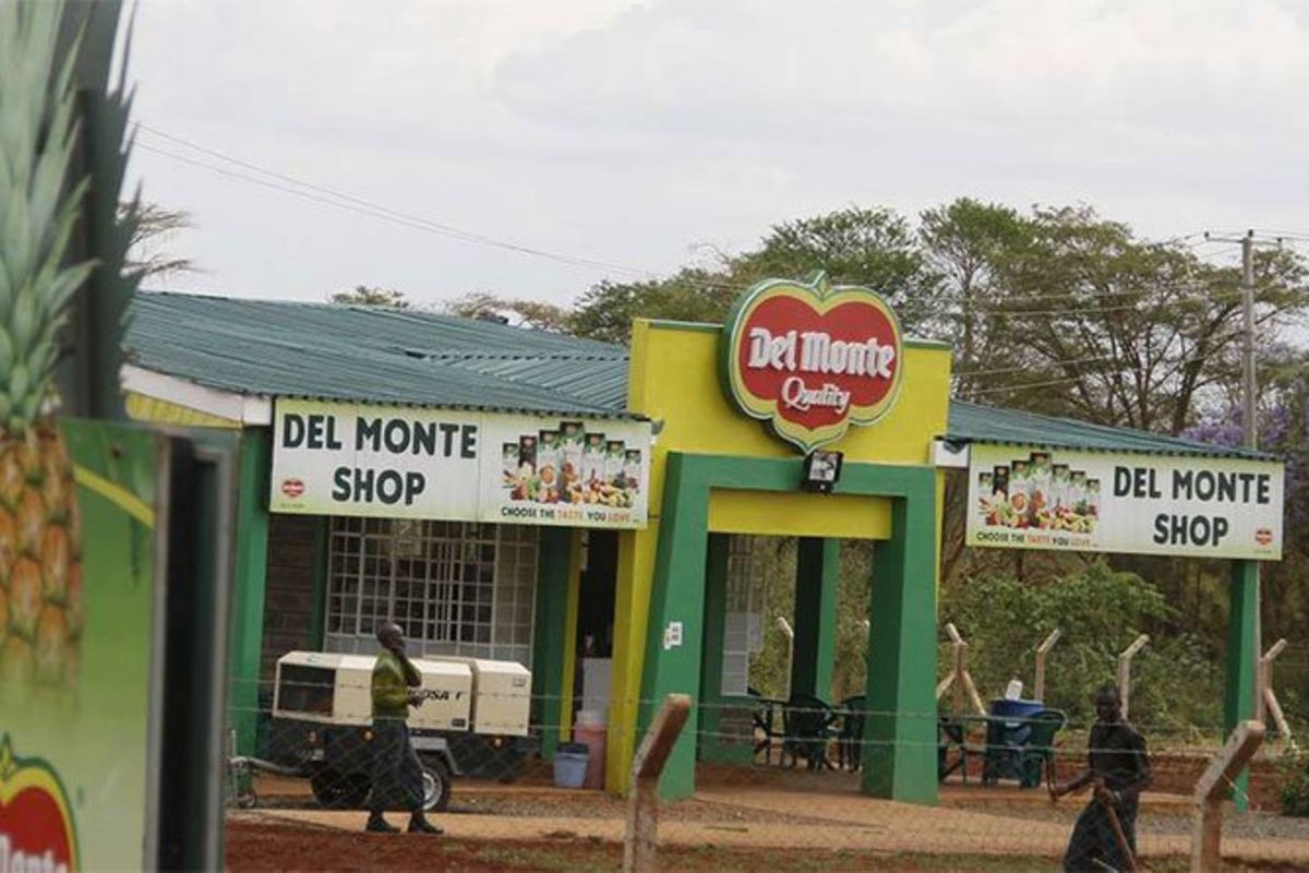 Multinational firms scramble welfare teams amid worker rights fallouts ...