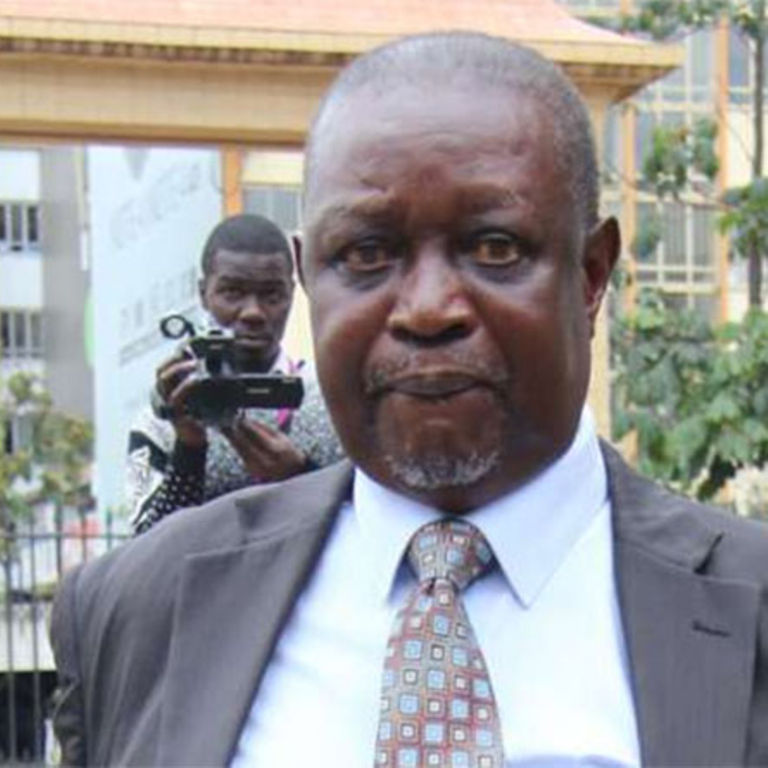 Gang steals 1,000 chickens from Oburu’s Bondo home - Business Daily