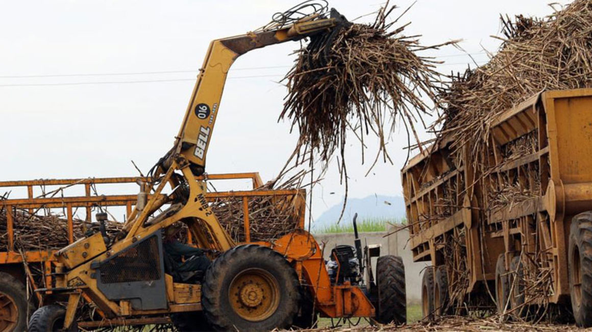Butali Sugar closes in on West Kenya - Business Daily