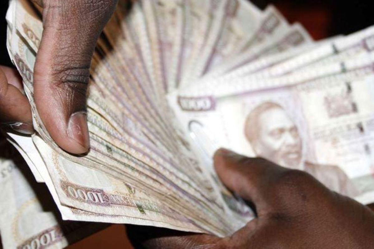 Five top saccos boast Sh149bn savings, assets - Business Daily