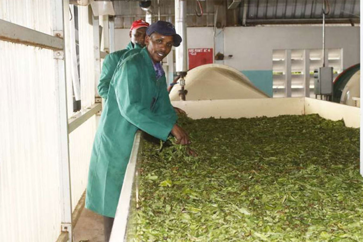IFC lends tea agency Sh1bn for dry port - Business Daily
