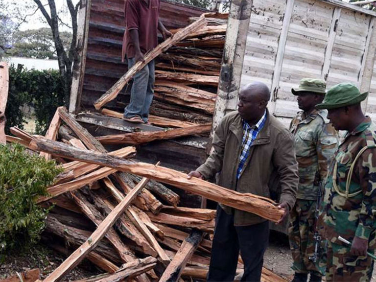 Kenya Forest Service earns Sh2.7bn from plantations - Business Daily