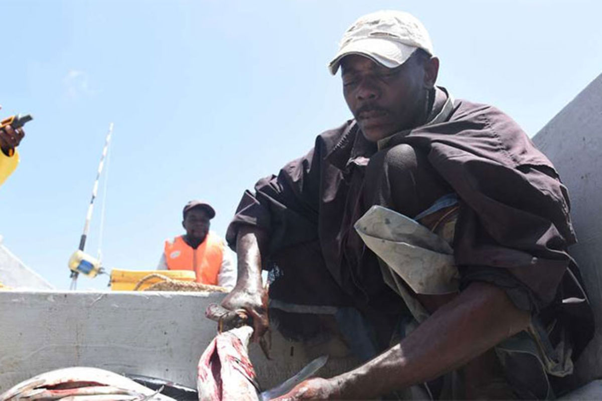 Lamu fishing fortunes turn around after night ban lifted - Business Daily