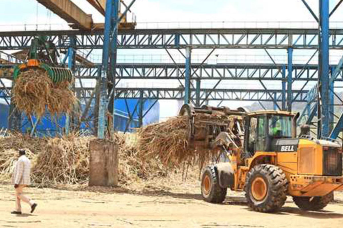 Transmara Sugar plans Sh4.7 billion electricity plant - Business Daily