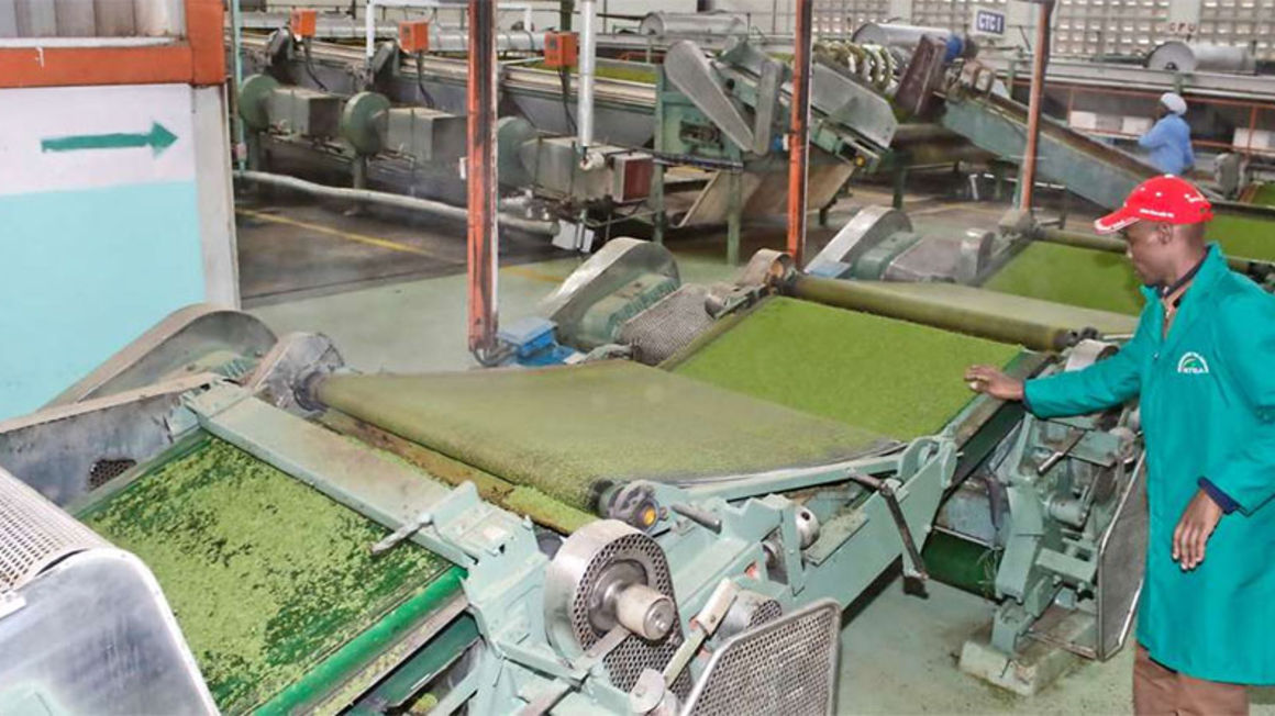 Tea body’s fate sealed as new regulations sent to AG office - Business ...