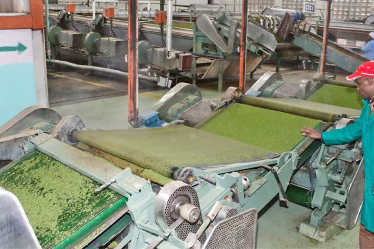 Tea body’s fate sealed as new regulations sent to AG office - Business ...