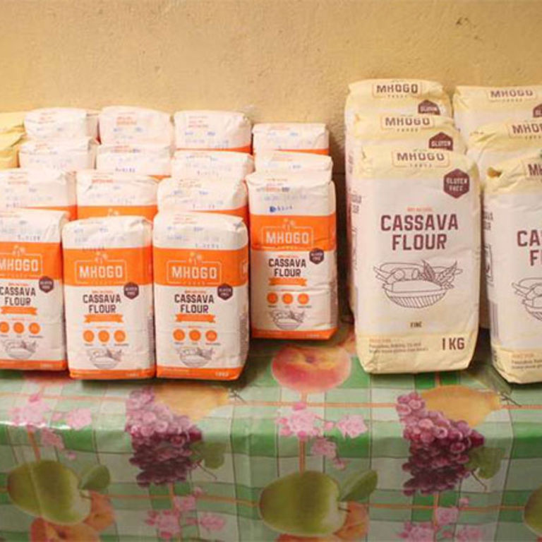 Agency approves field trials for genetically modified cassava varieties ...