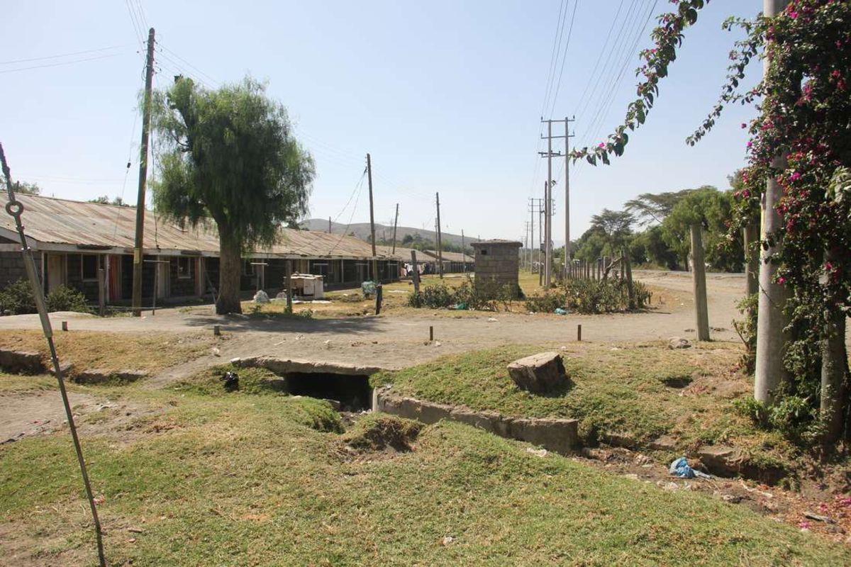 Karuturi seeks Sh1.2bn from Stanbic for flattened hotel - Business Daily