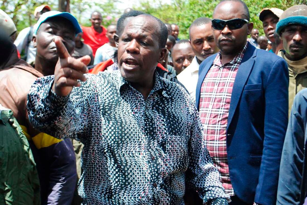 Wakapee: Juja MP who became cancer fighter - Business Daily