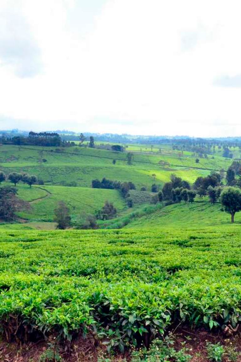 Economy - Business Daily