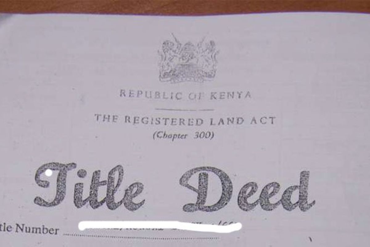 Issue titles for public land - Business Daily