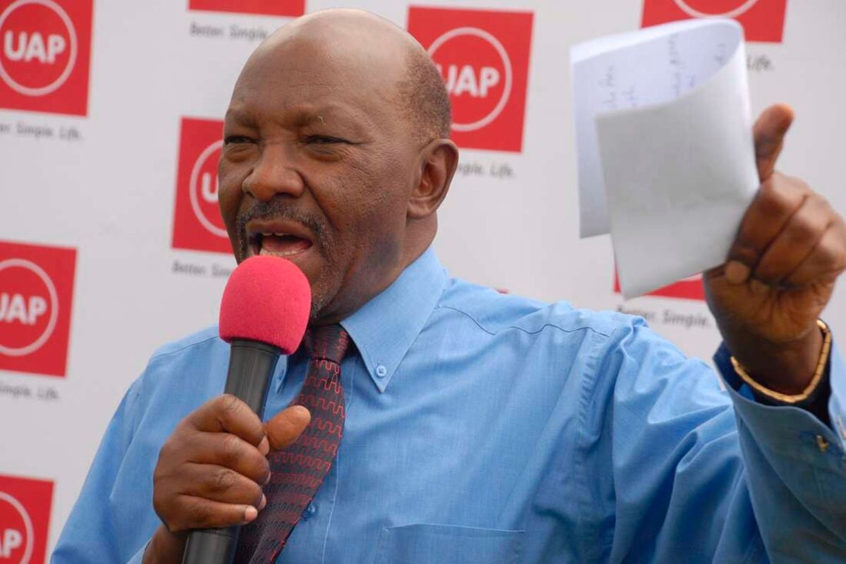 Wanjui, tycoon pocket Sh3bn in UAP share sale - Business Daily