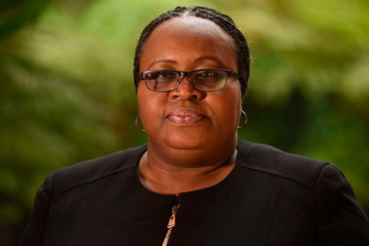 IFC to lend Super Foam owner Sh1.7bn for capex, expansion - Business Daily