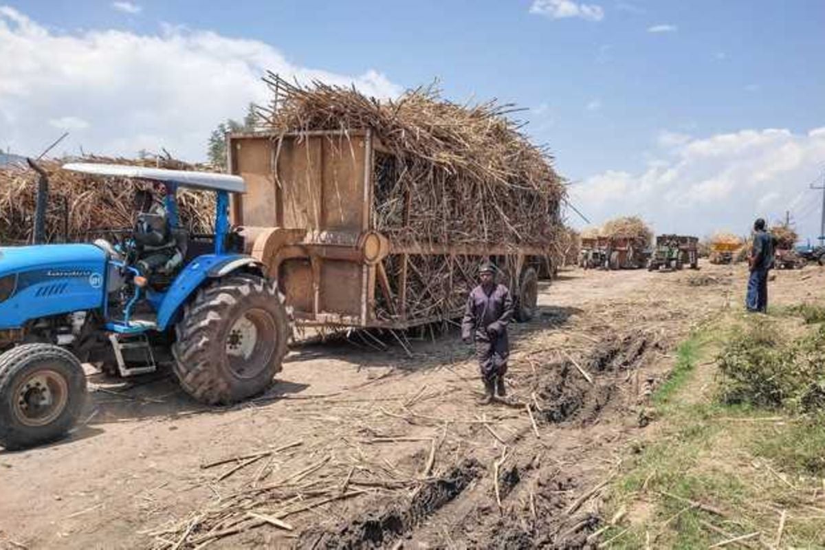 Rai Sh5bn Naitiri plant starts milling in Q1 - Business Daily