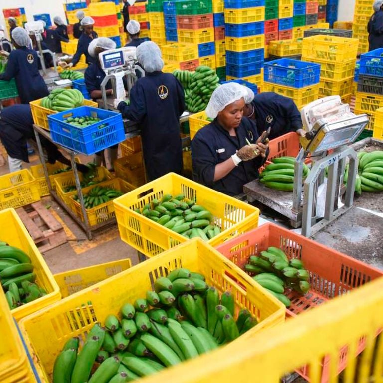 Twiga Foods expands own product lines with lower price offers ...