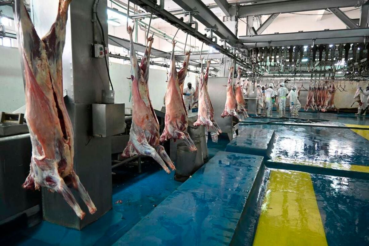 The GCC is new frontier for export of Kenya’s meat and meat products ...