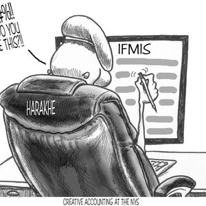 Ifmis set for major overhaul in shift to new accounting system ...