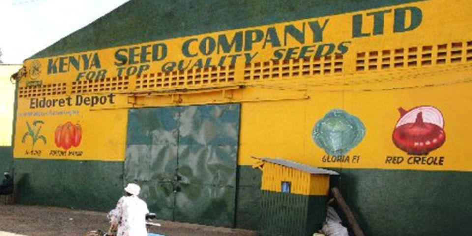 Kenya Seed set to boost acreage on high demand - Business Daily