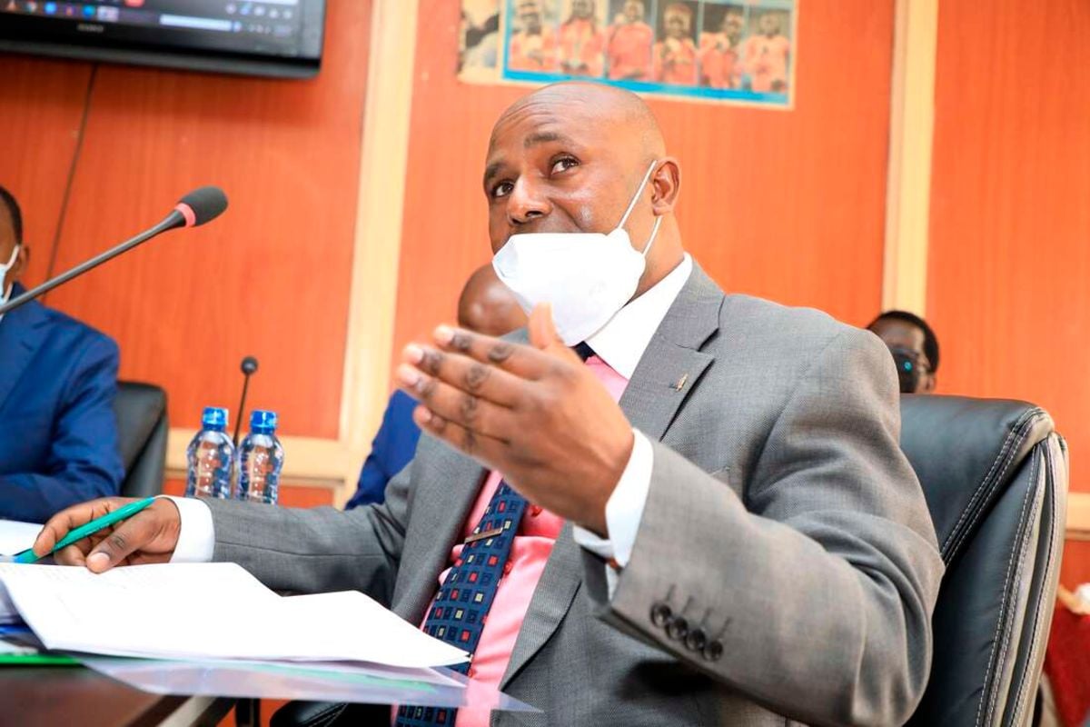 NCPB requests Sh10 billion for strategic maize reserves - Business Daily