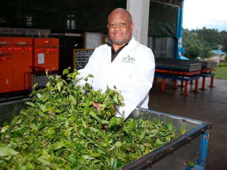 We sold our Sh400m home in Nairobi to establish tea factory - Business ...