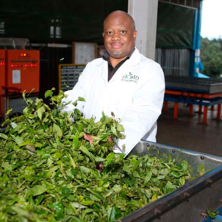 We sold our Sh400m home in Nairobi to establish tea factory - Business ...