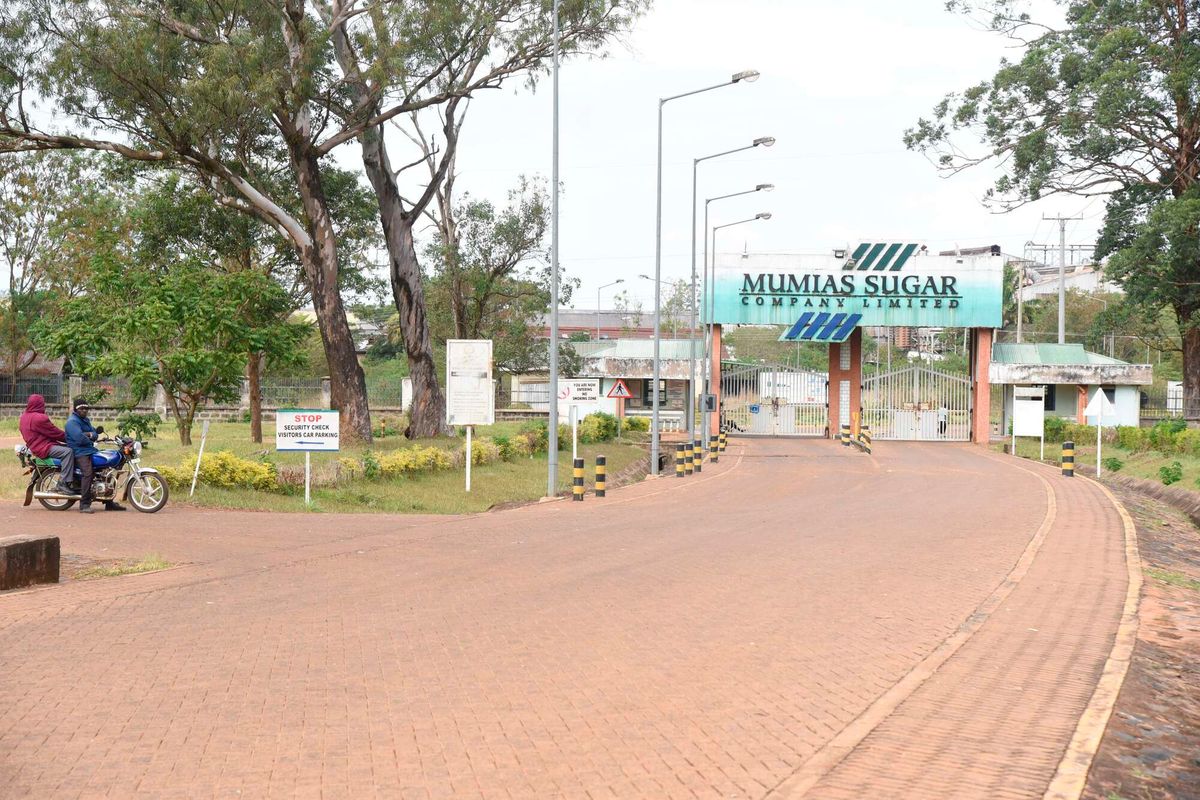 Ruto to evict Uganda's Sarrai from Mumias sugar - Business Daily