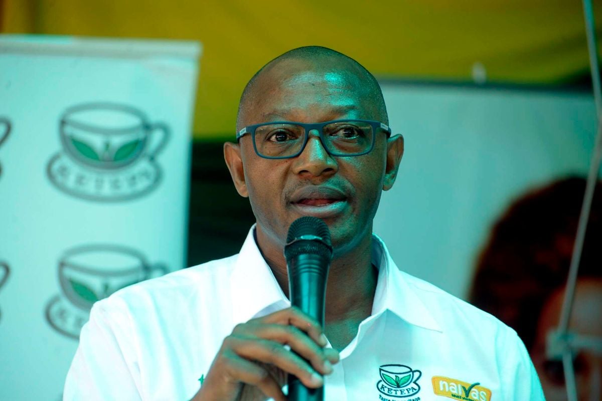 KTDA reinstates Ketepa boss on court directive - Business Daily