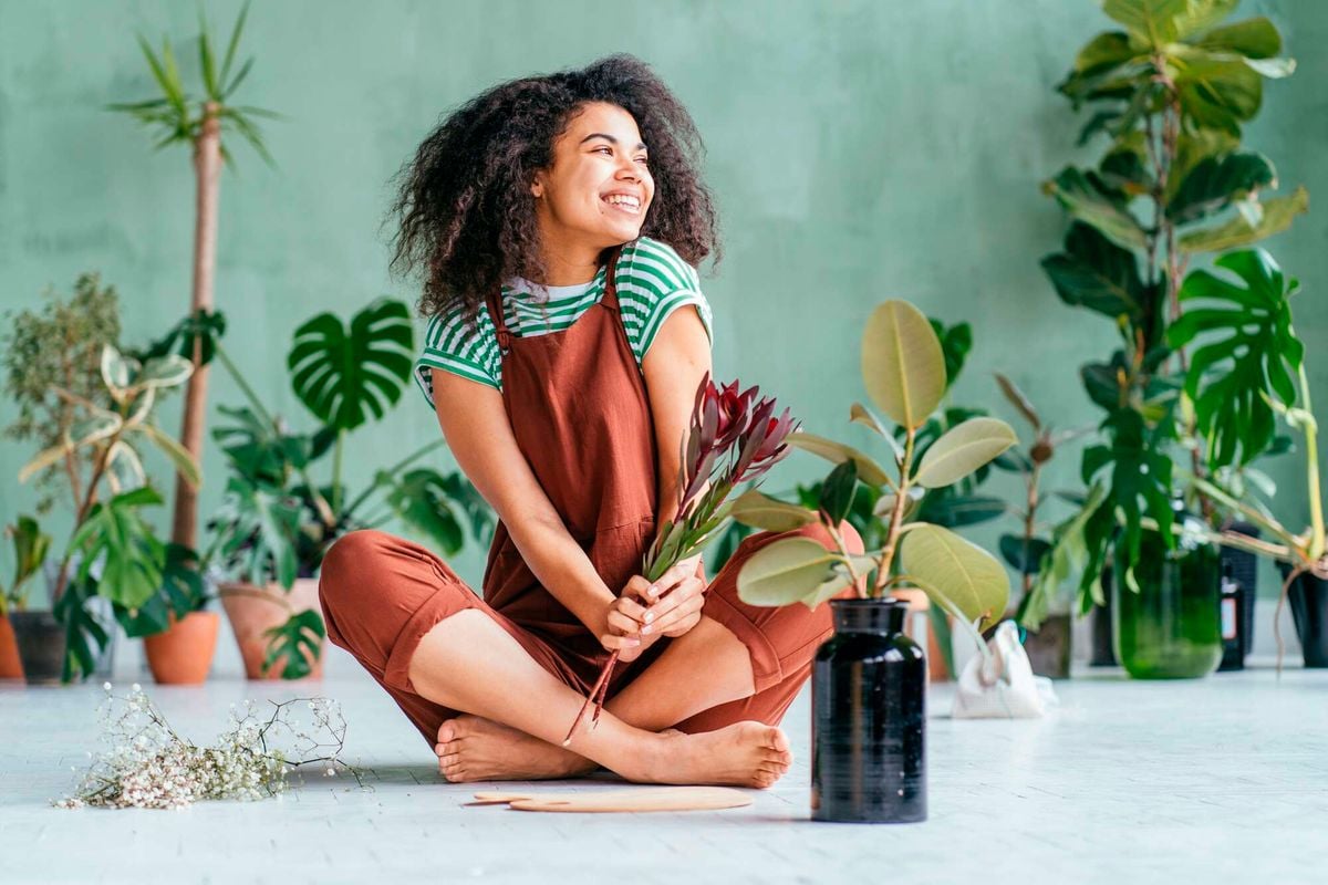 Millennials, Gen Zs new house plants obsession - Business Daily