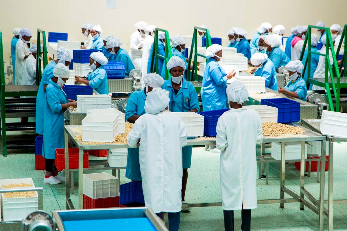 Sasini posts highest profit in seven years - Business Daily