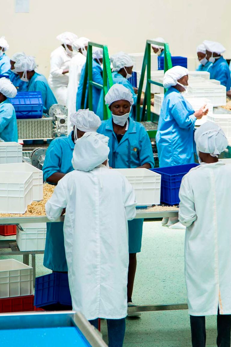 Sasini raises dividend by half despite 53pc profit drop - Business Daily