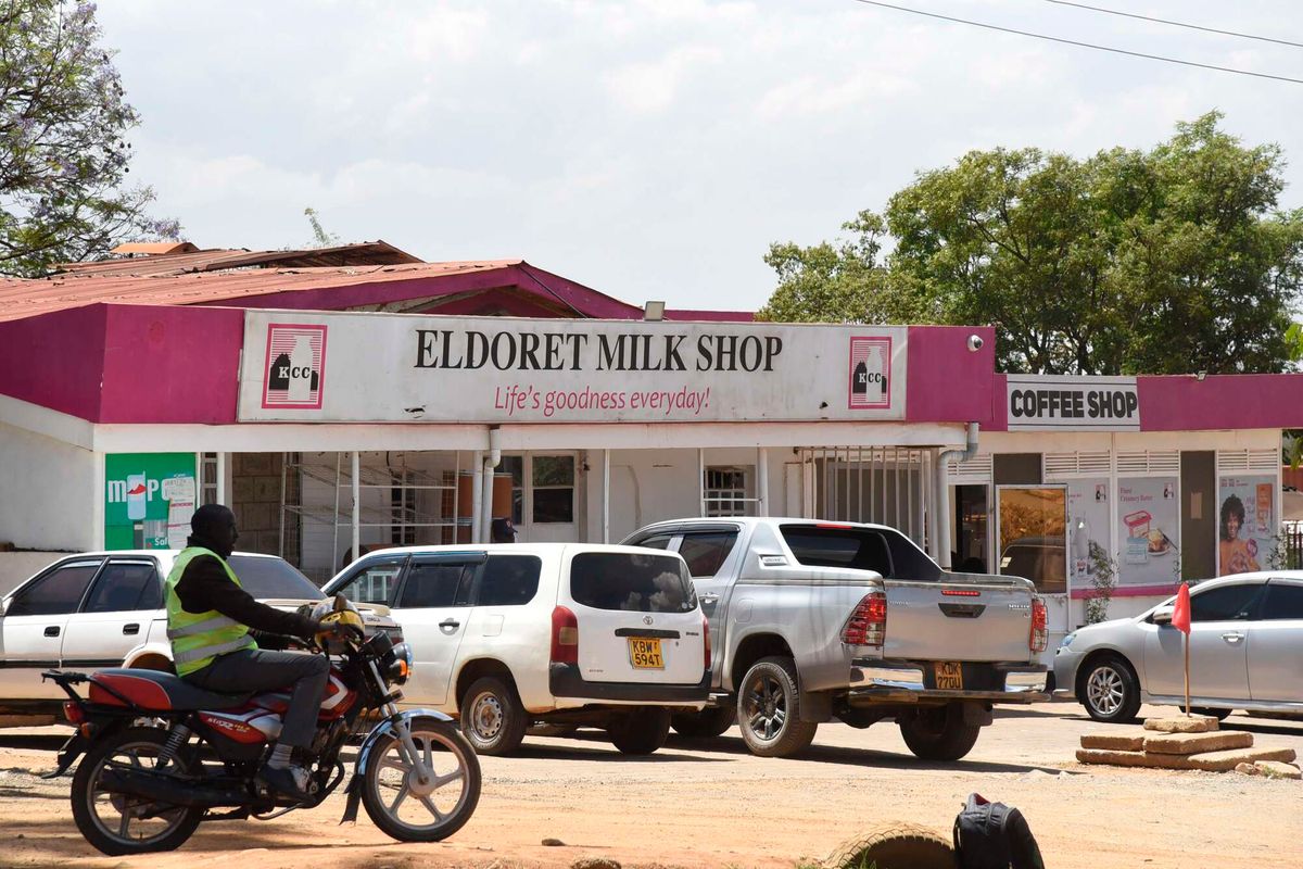 New KCC asks for Sh3bn for milk powder reserve fund - Business Daily