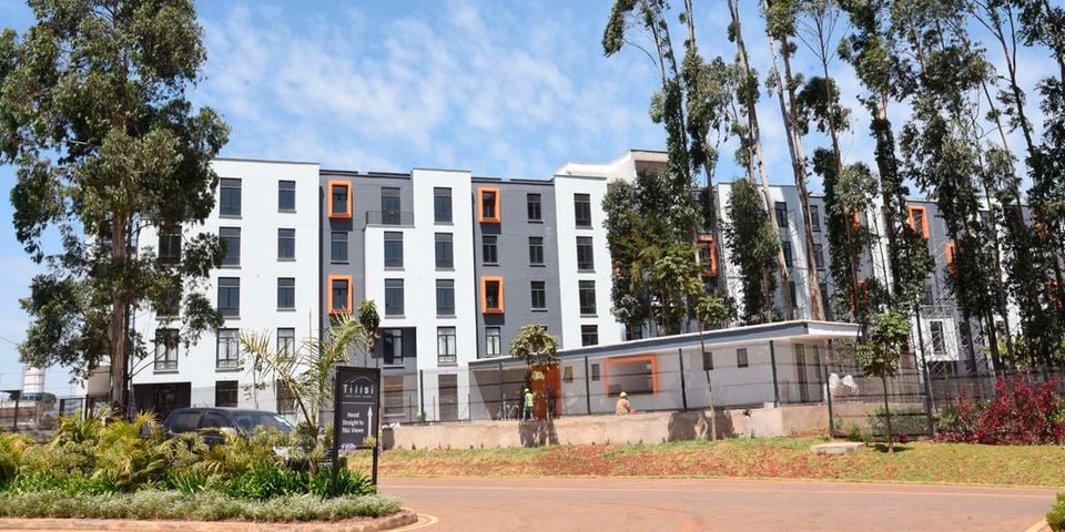 The brains behind Tilisi on building estates of the future - Business Daily