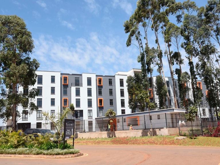 The brains behind Tilisi on building estates of the future - Business Daily